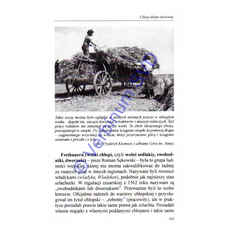 CHŁOPI ŚLĄSCY - VERBINUM