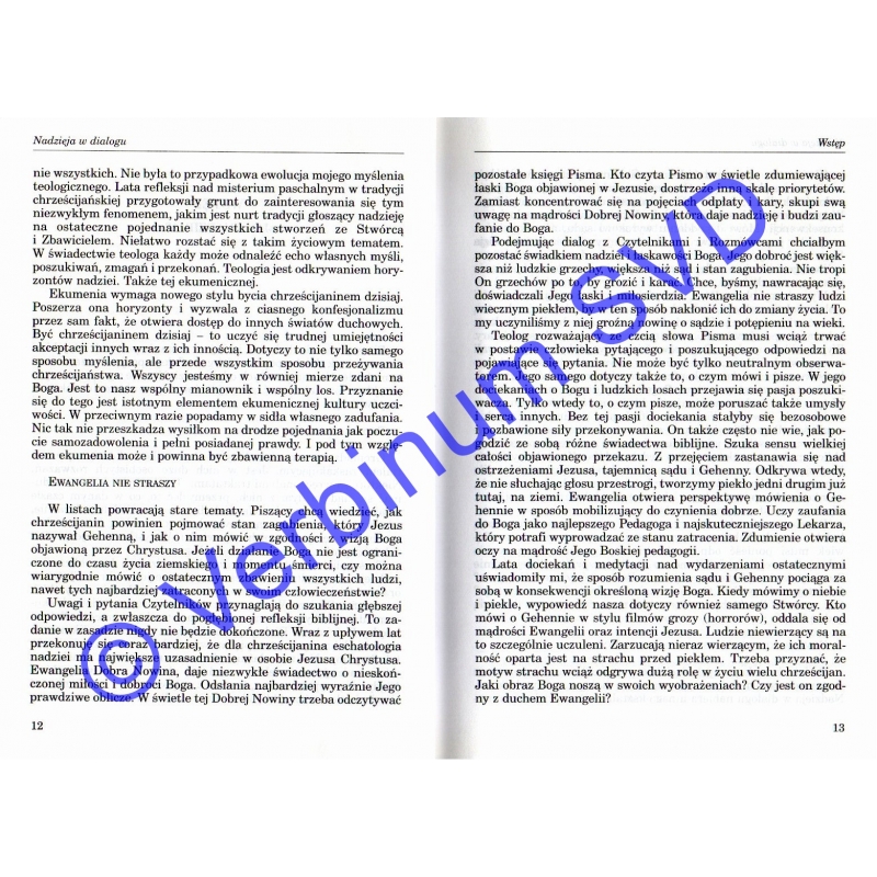 NADZIEJA W DIALOGU - VERBINUM