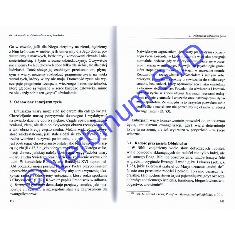 DIALOG I SŁUŻBA W NOWEJ EWANGELIZACJI - VERBINUM